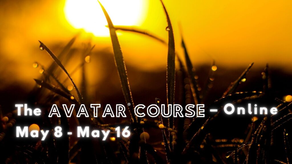 The Avatar® Course - online - Avatar Oceania