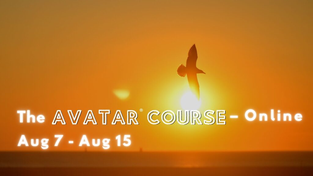 The Avatar® Course - online - Avatar Oceania