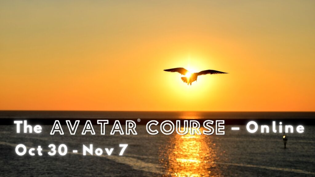 The Avatar® Course - online - Avatar Oceania