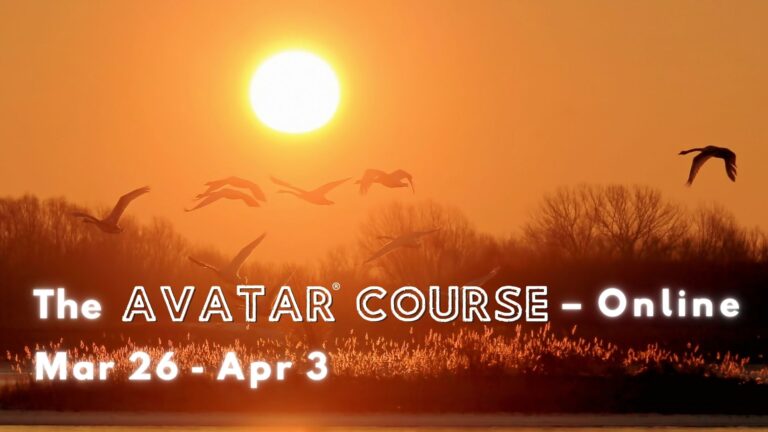 The Avatar® Course - online - Avatar Oceania