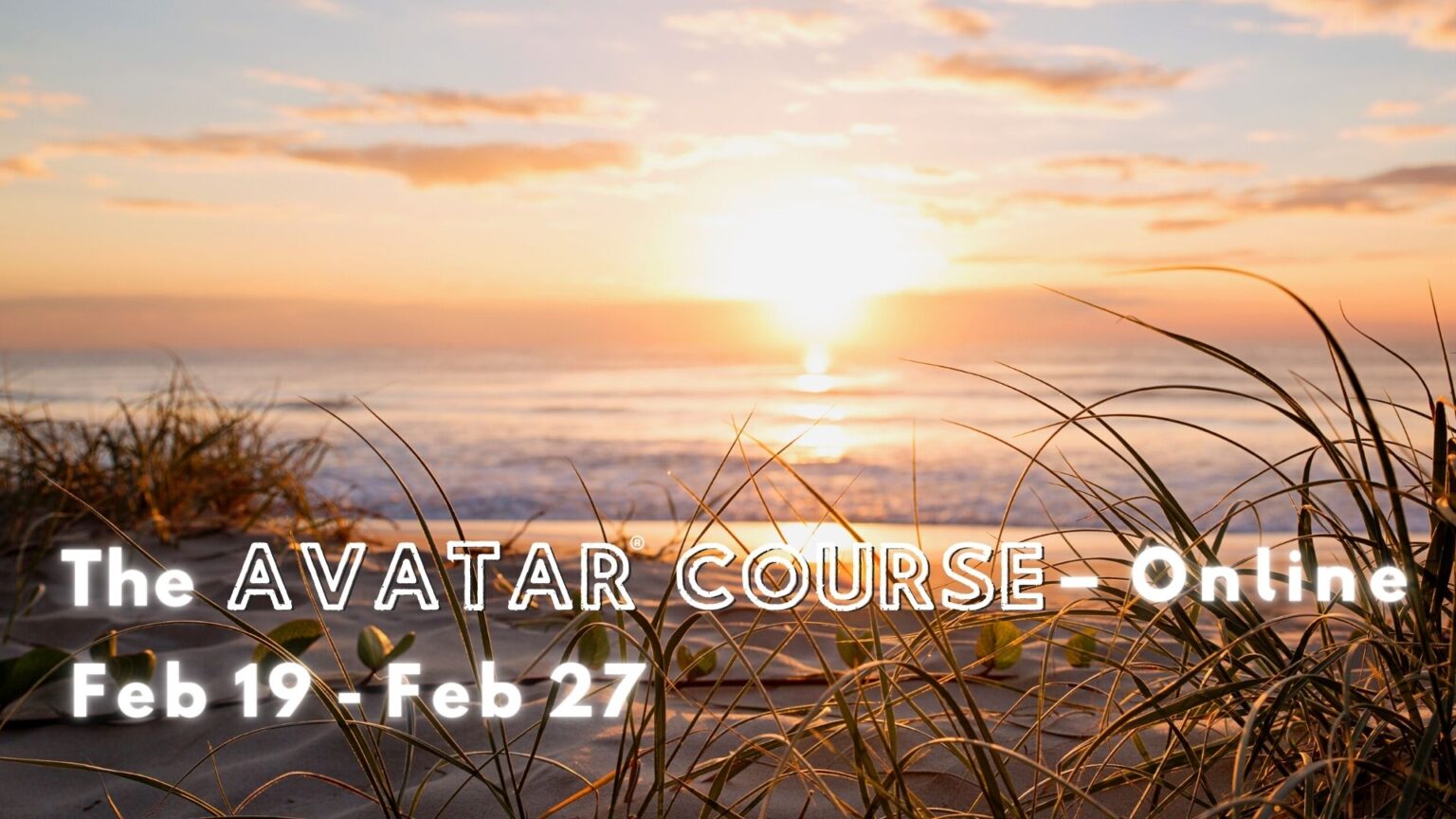 The Avatar® Course - online - Avatar Oceania