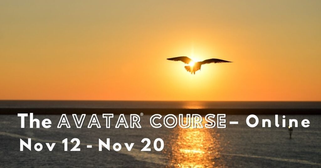 Course Schedule - Avatar Oceania