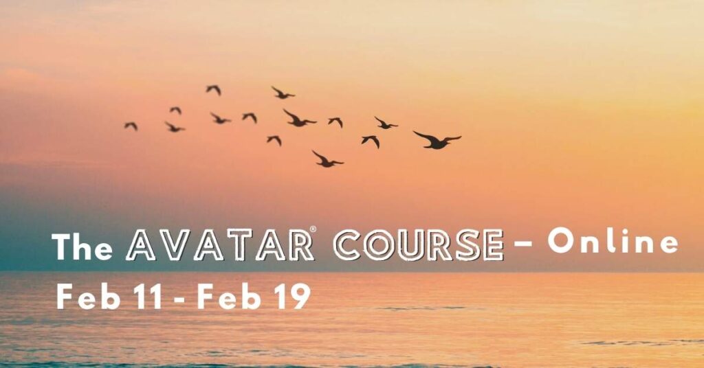 Course Schedule - Avatar Oceania