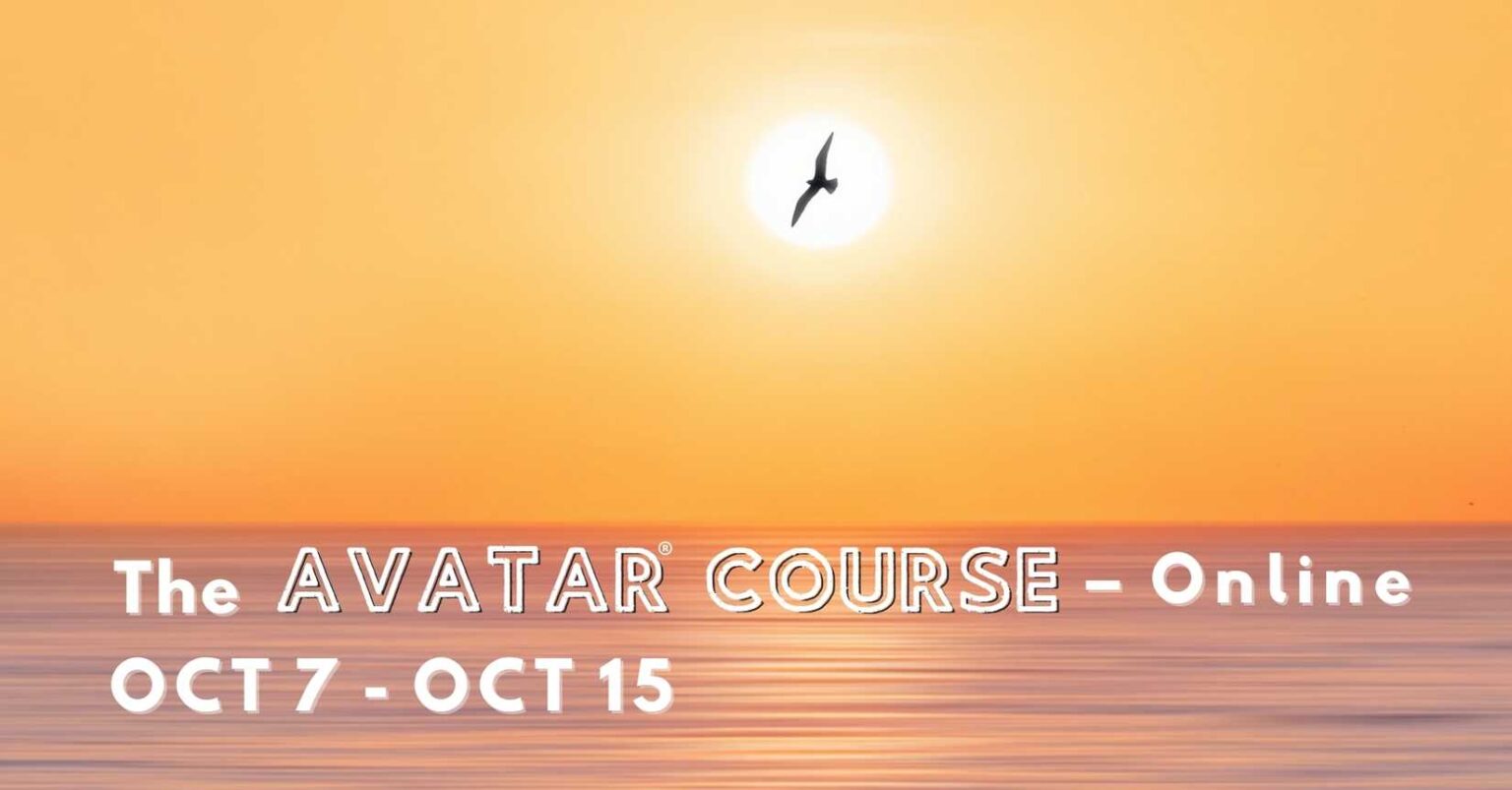 The Avatar® Course - online - Avatar Oceania