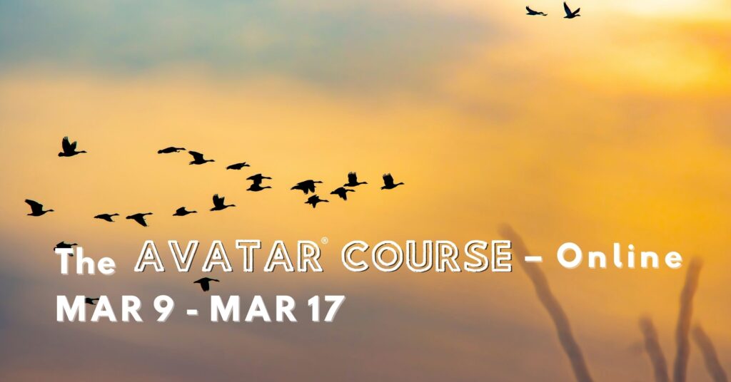 The Avatar® Course - online - Avatar Oceania