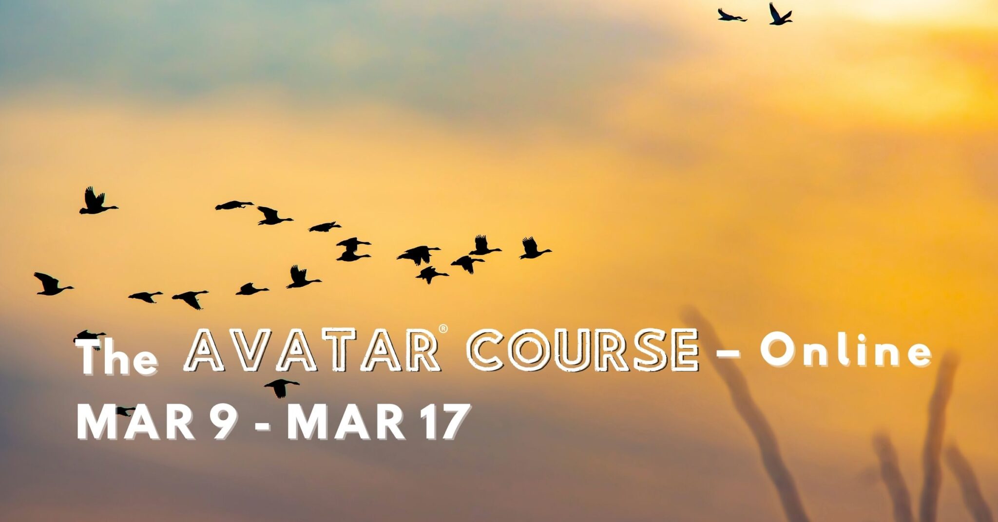 The Avatar® Course - online - Avatar Oceania