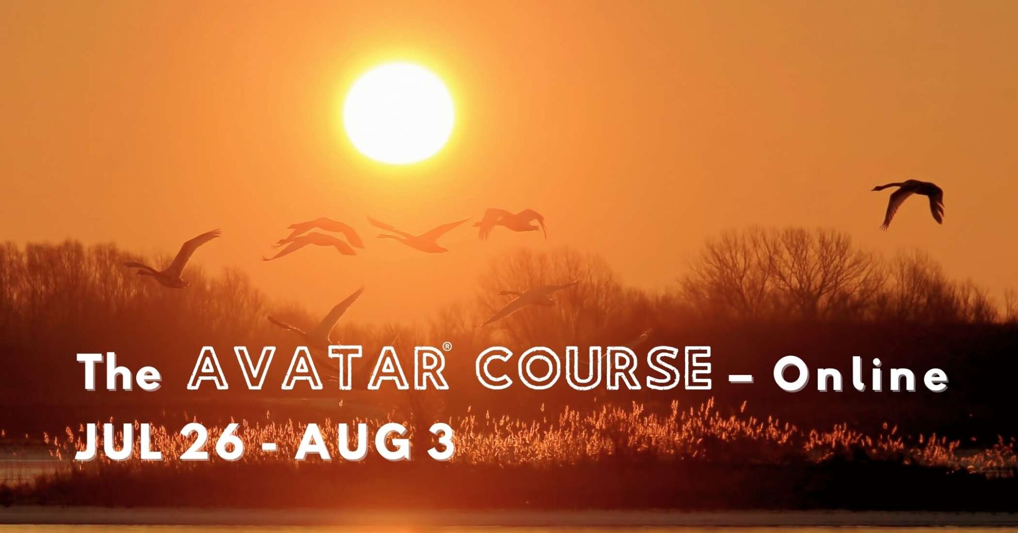 The Avatar® Course - online - Avatar Oceania